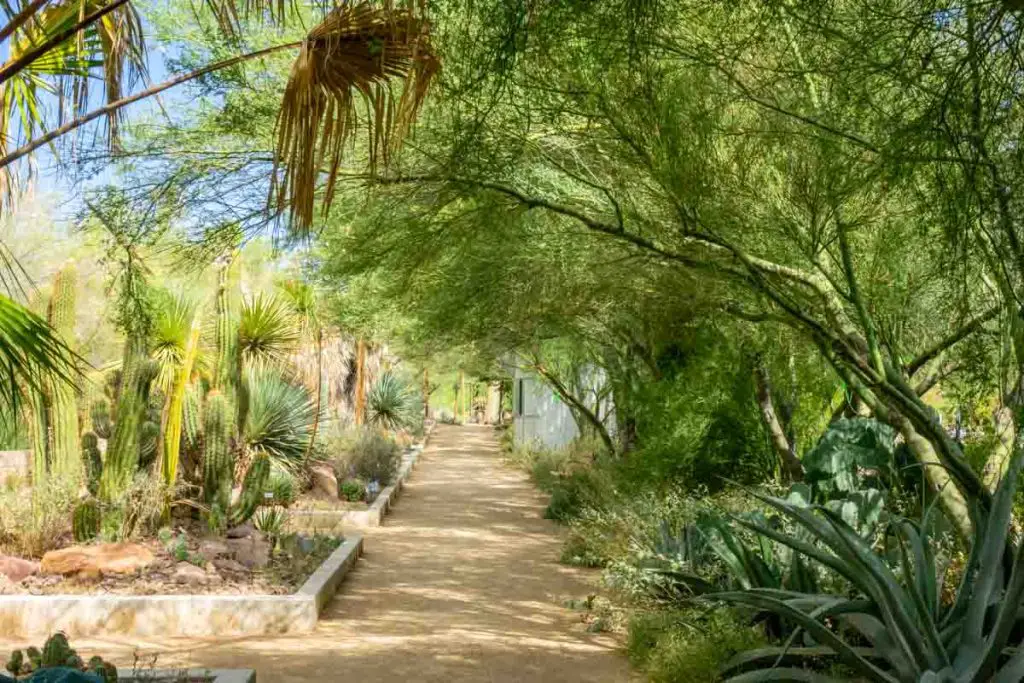 Things to Do in Las Vegas For Non-Gamblers