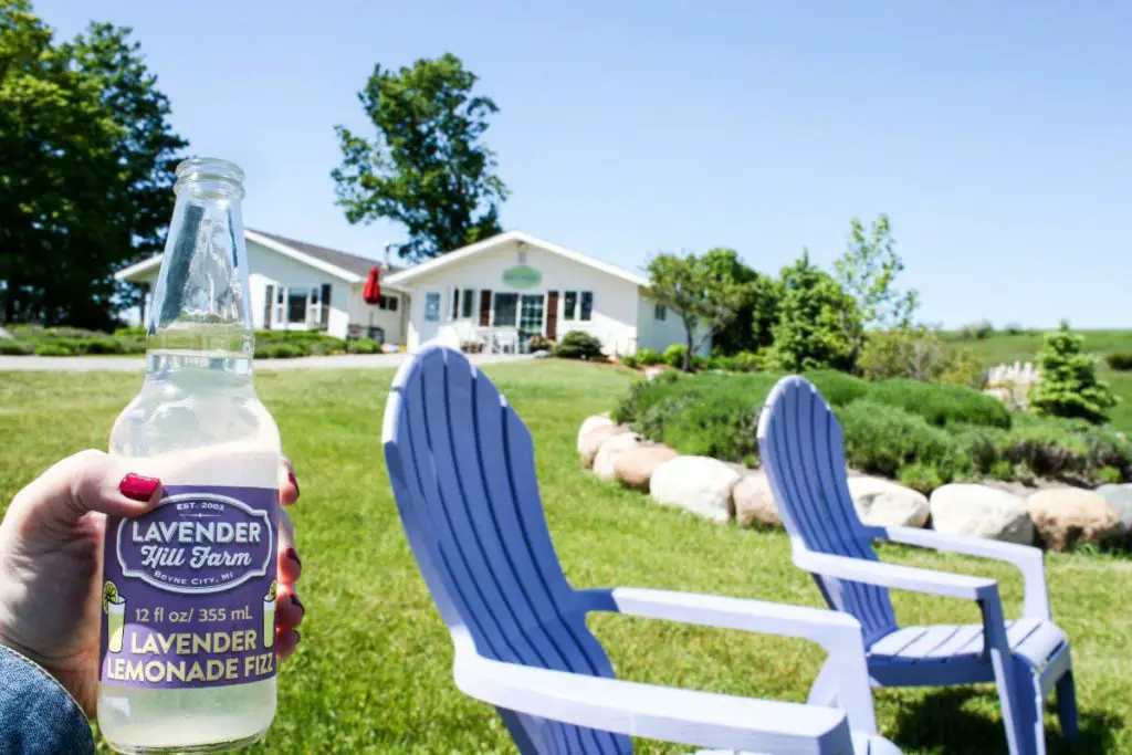 16 Beautiful Lavender Farms to Visit in Michigan
