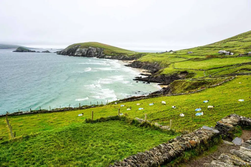 10 Amazing and Beautiful Photos of Ireland to Inspire Your Trip