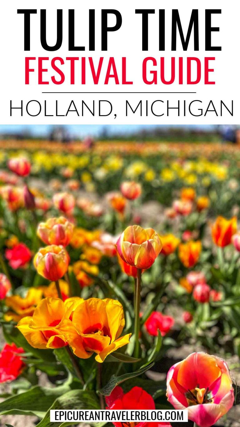 Tulip Time Festival Guide: How to See Tulips in Holland, Michigan