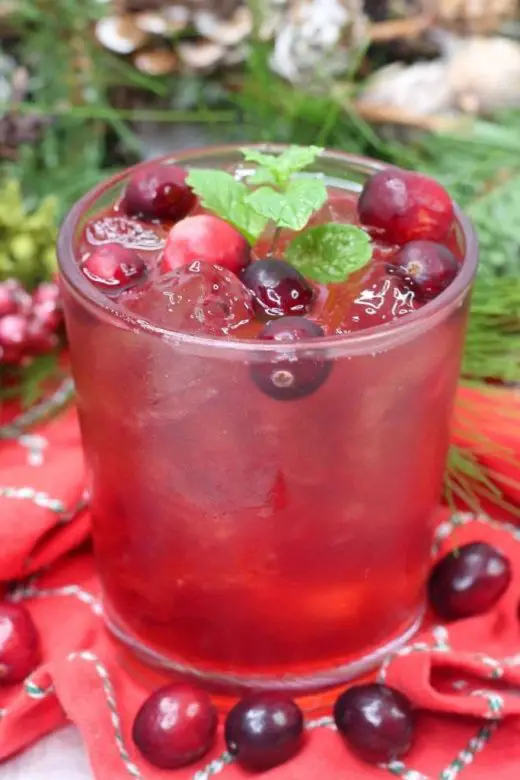 37 Festive Cranberry Cocktails to Put You in the Holiday Spirit