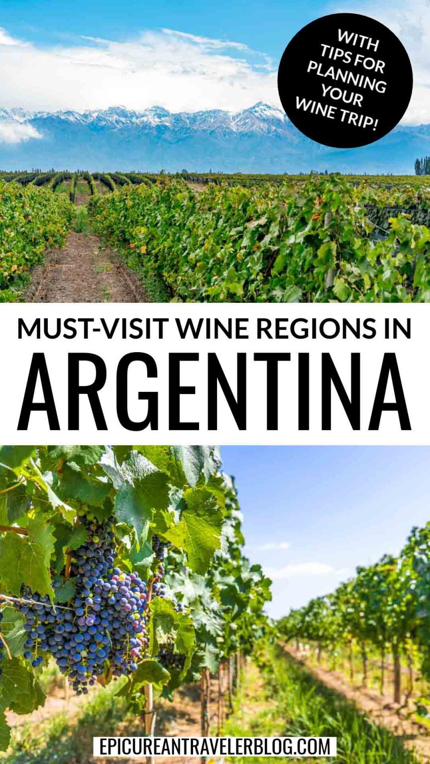 Uncorking the Best Wine Regions in Argentina